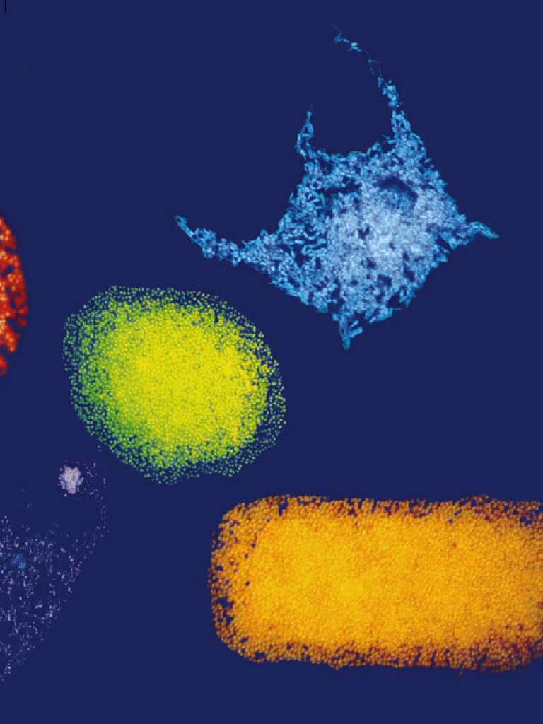 bakterier de gode, de onde og de grusomme | PDF