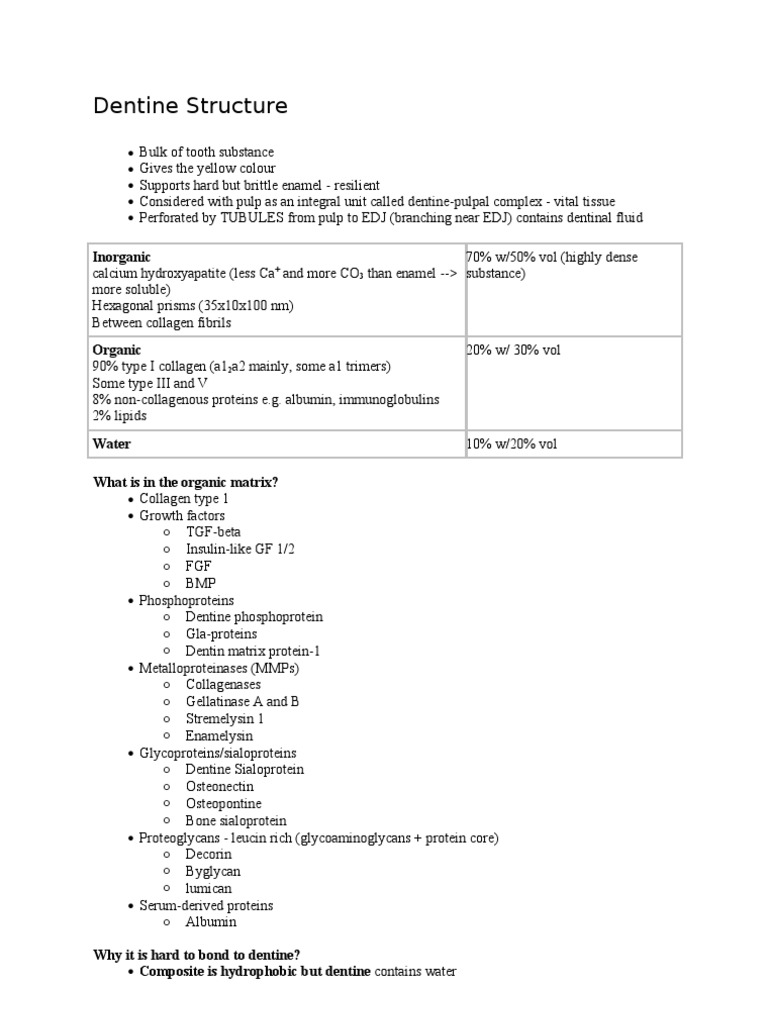 Dentine Structure and Composition Overview | PDF | Dentin | Tooth Enamel