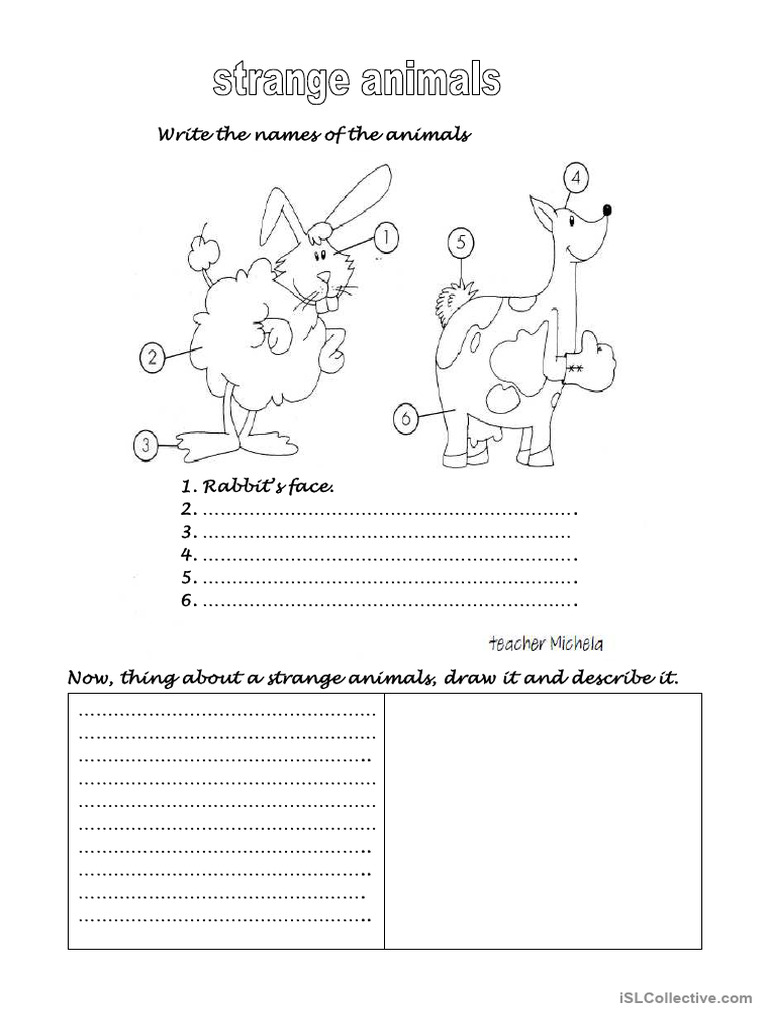 Strange Animals | PDF