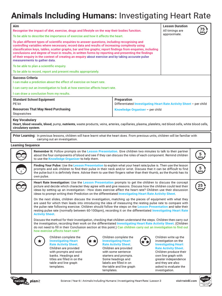 Year 6 Heart Rate Investigation Lesson | PDF | Heart Rate | Heart