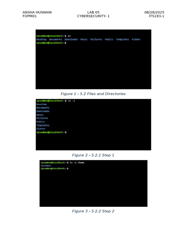 Cybersecurity Lab 05 Steps Guide | PDF