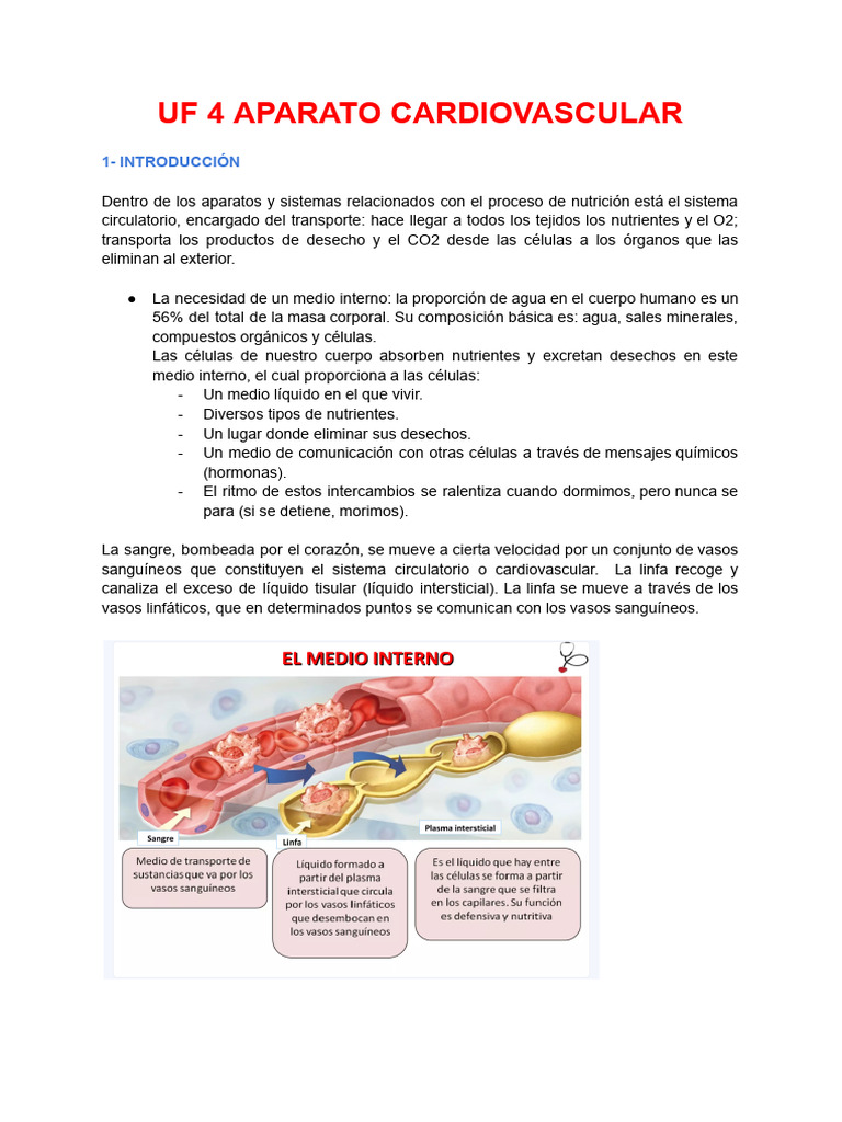Uf 4 Aparato Cardiovascular | PDF | Sangre | Sistema circulatorio
