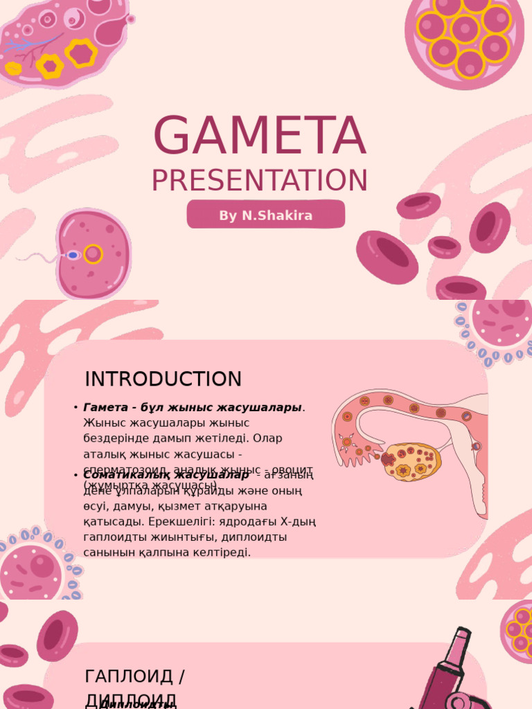 Pink Yellow Playful Human Reproductive System Biology Presentation | PDF