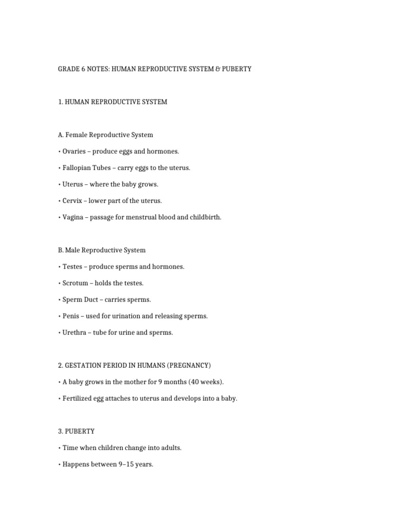 Grade 6 Reproductive System Notes | PDF