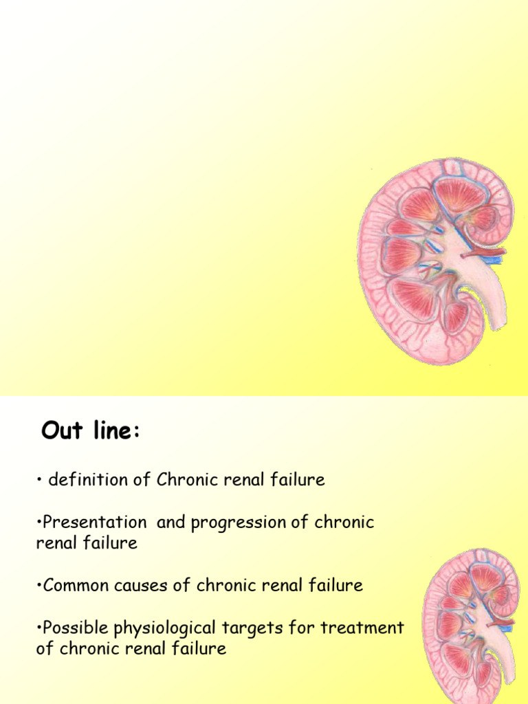 chronic renal failure | PDF | Chronic Kidney Disease | Kidney