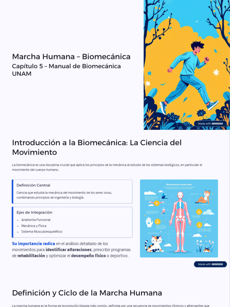 Biomecánica de la Marcha Humana: Claves y Fases | PDF | Pie | Biomecánica