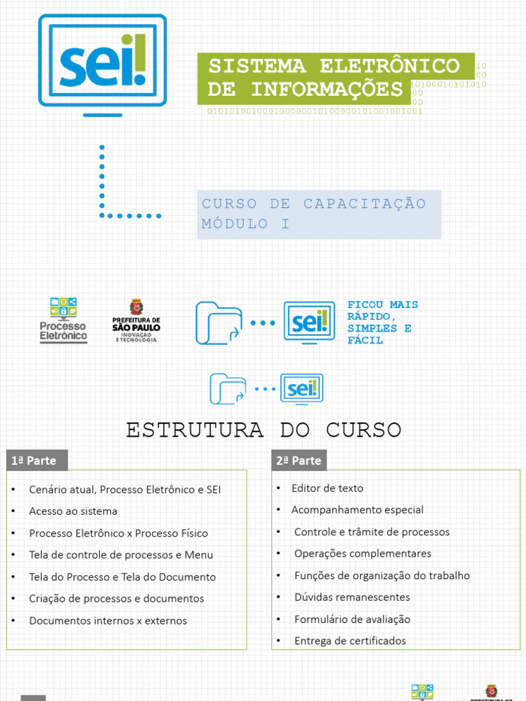 Capacitação em Sistema Eletrônico SEI | PDF | Internet | Decreto