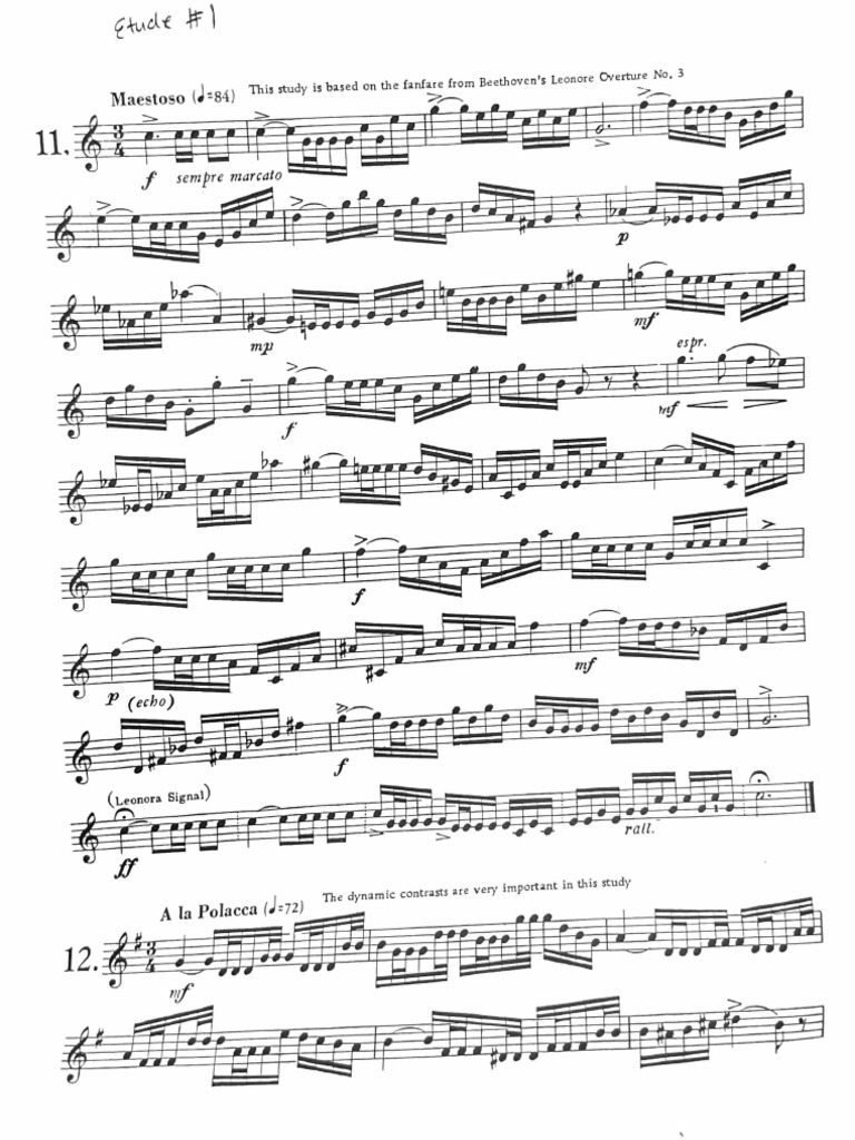 Region 25 26 | PDF