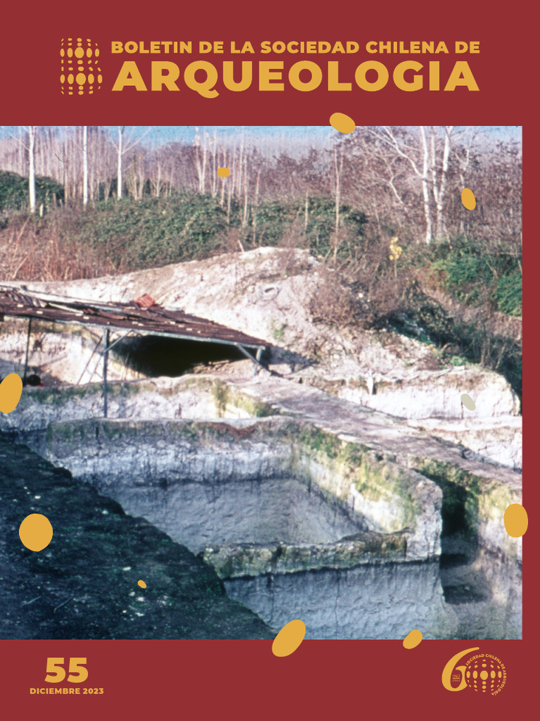 REPATRIATION PROCESSES, INDIGENOUS PEOPLES AND ARCHAEOLOGY: THE ...