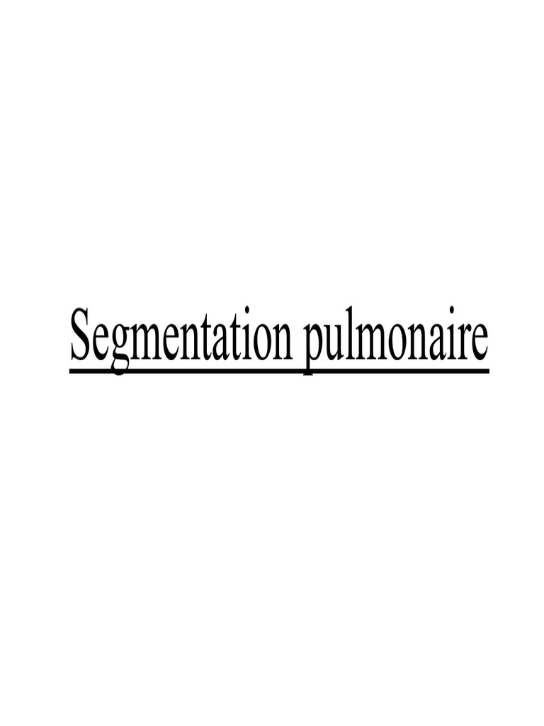 Anatomie et Segmentation des Poumons | PDF | Poumon | Thorax