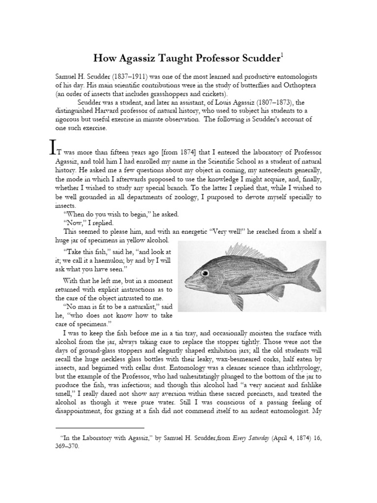 Agassiz's Influence on Scudder's Entomology | PDF
