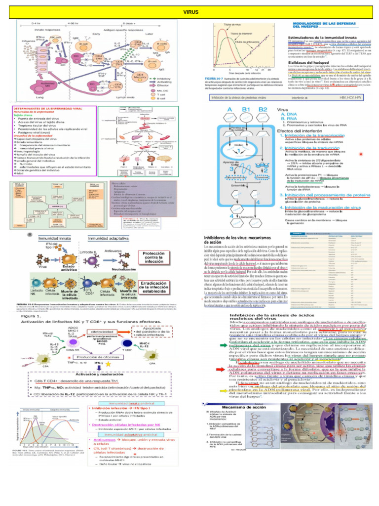 5. VIRUS | PDF