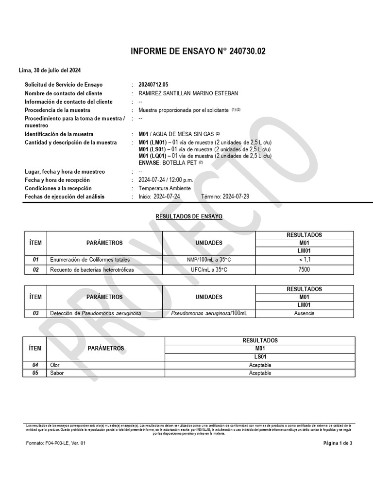Informe 240730.02 - Ns 20240712.05 - Marino Santillan - Agua de Mesa (Rs) Proyecto | PDF