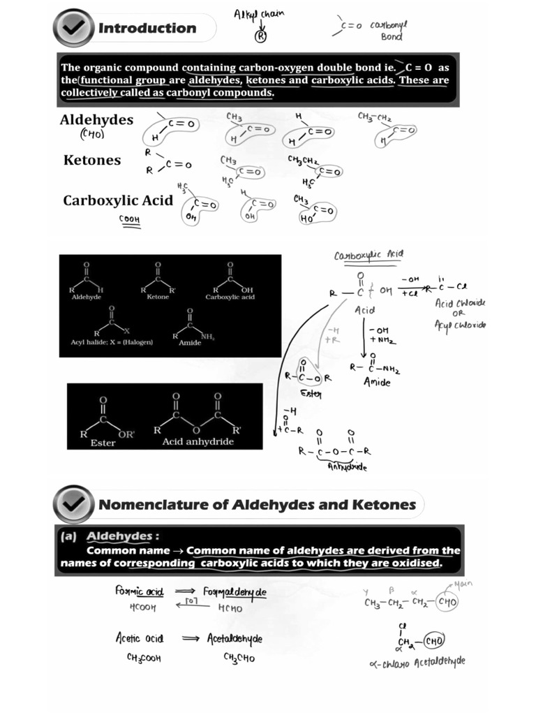 Aldehydes, Ketones and Carboxylic Acids - Class Notes (1)_processed | PDF
