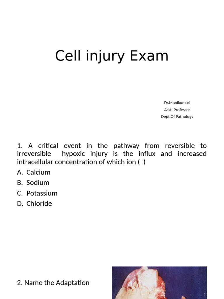 cell injury exam | PDF | Necrosis | Epithelium
