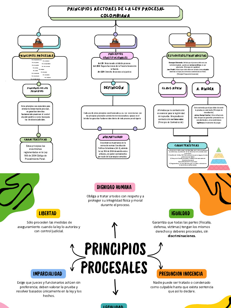 Principios Procesales en Colombia | PDF | Debido al proceso | Ley procesal