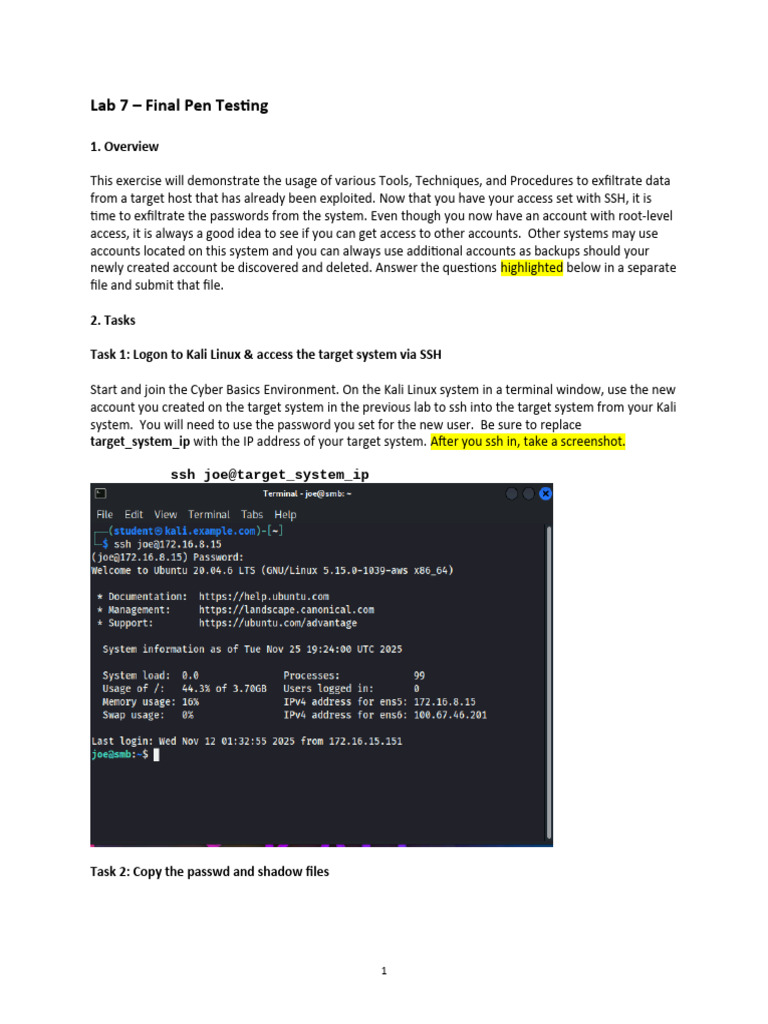 Final Pen Testing: Data Exfiltration Guide | PDF | Password | Cryptography