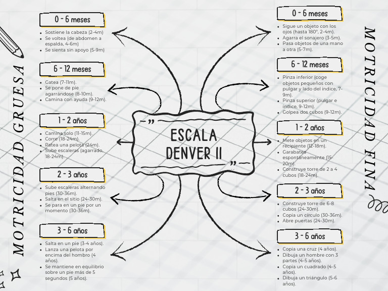 Escala Denver II. Act II | PDF