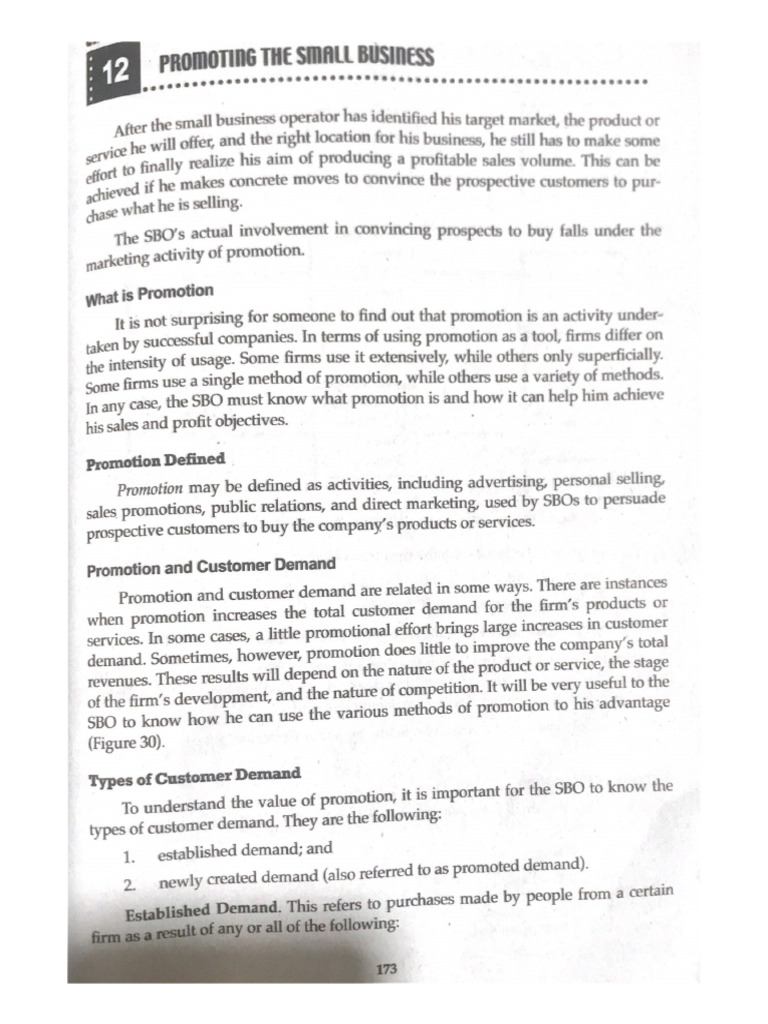 Promoting The Small Business | PDF