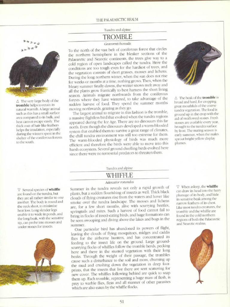 Dougal Dixon - The New Dinosaurs an Alternative Evolution-3 | PDF