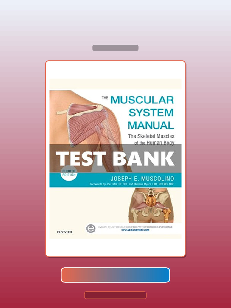Test Bank for Muscular System Manual 4th Edition Muscolino | PDF ...
