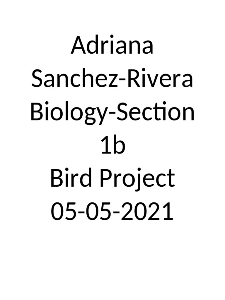 Bird Project 1 | PDF | Birds Of North America | Holarctic Birds