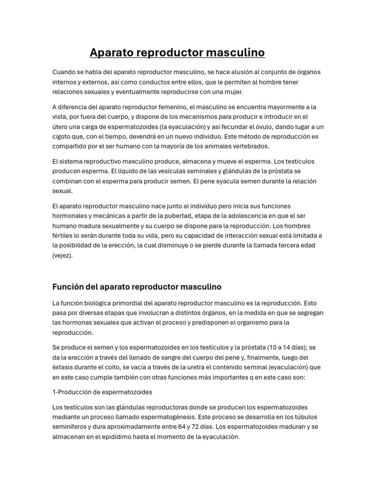Funciones del aparato reproductor masculino | PDF | Próstata | Sistema ...