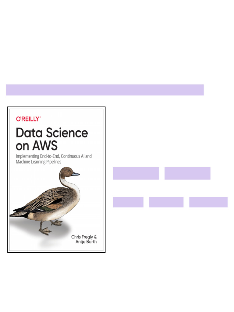 Data Science On Aws Implementing Endtoend Continuous Ai And Machine ...