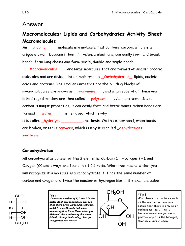 Carb:Lipids Answer | PDF | Lipid | Fat
