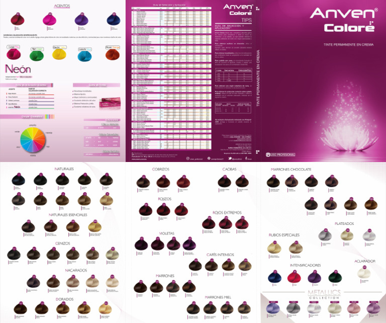Gama Anven Ver 2 | PDF