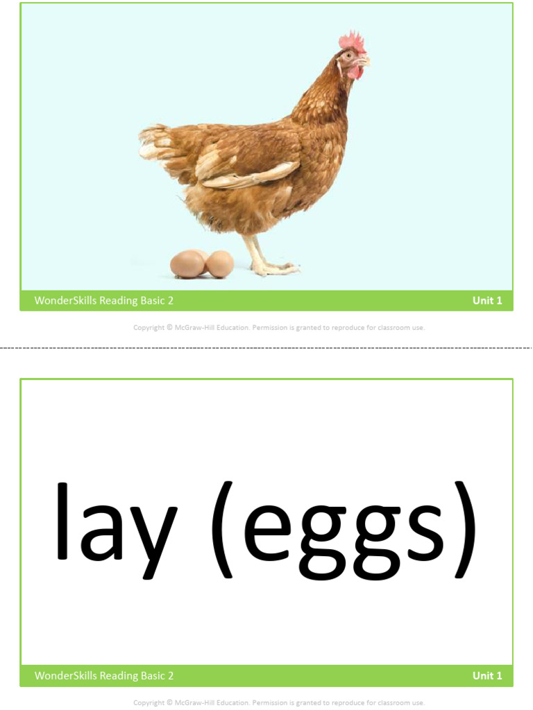 Basic 2 Flash Card | PDF | Copyright