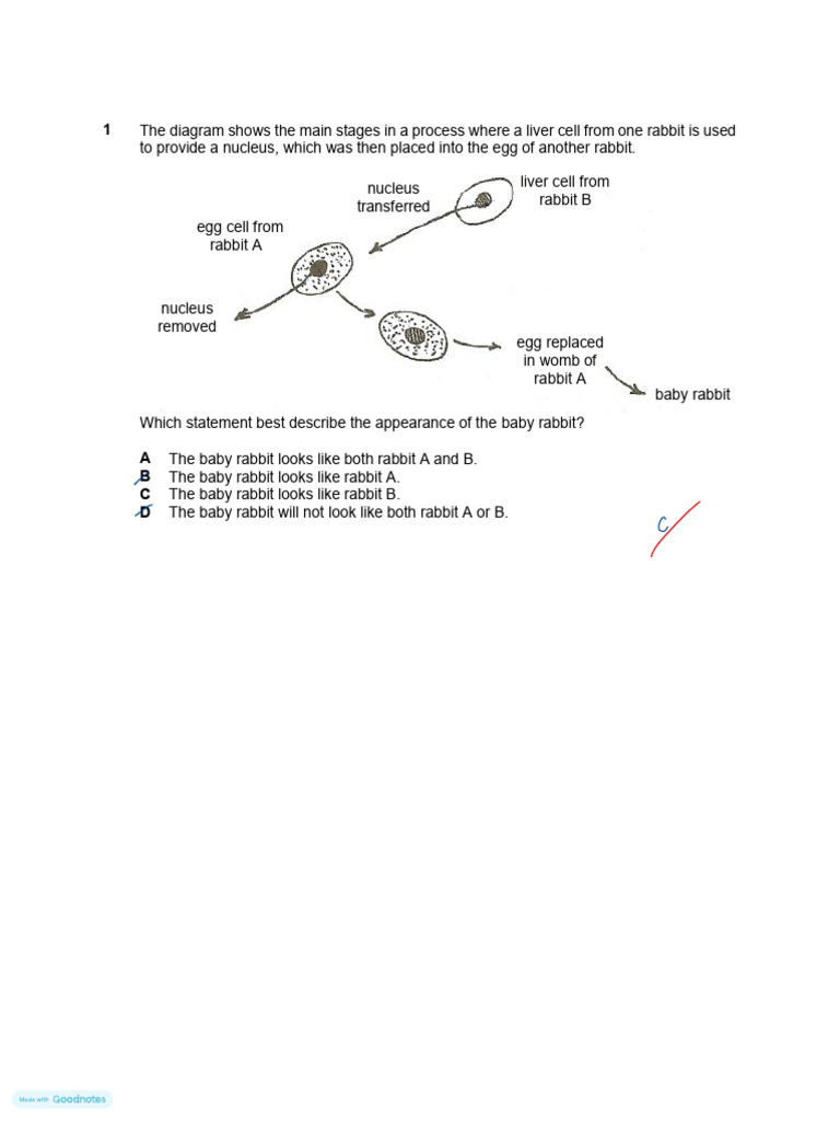 Human Reproduction Practice Questions | PDF | Fertilisation | Placenta