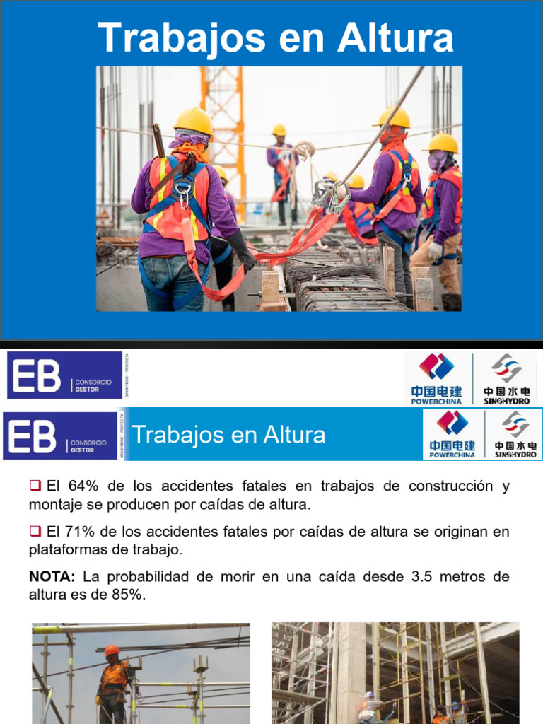 Seguridad en Trabajos en Altura | PDF | Escalera | Andamio