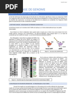 Sequençage Automatisé Sanger | PDF | Séquençage de l'ADN | Biomolécules