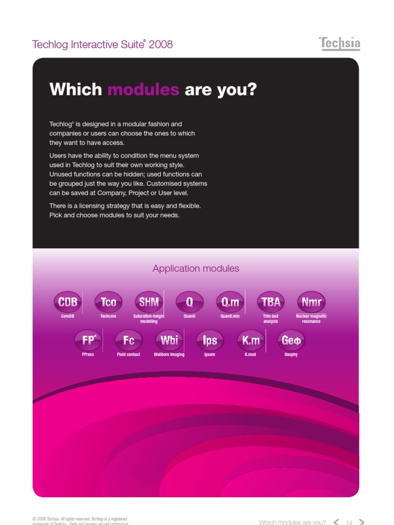 Techlog Interactive Suite 2008.modules | PDF | Logarithm | Sensitivity ...