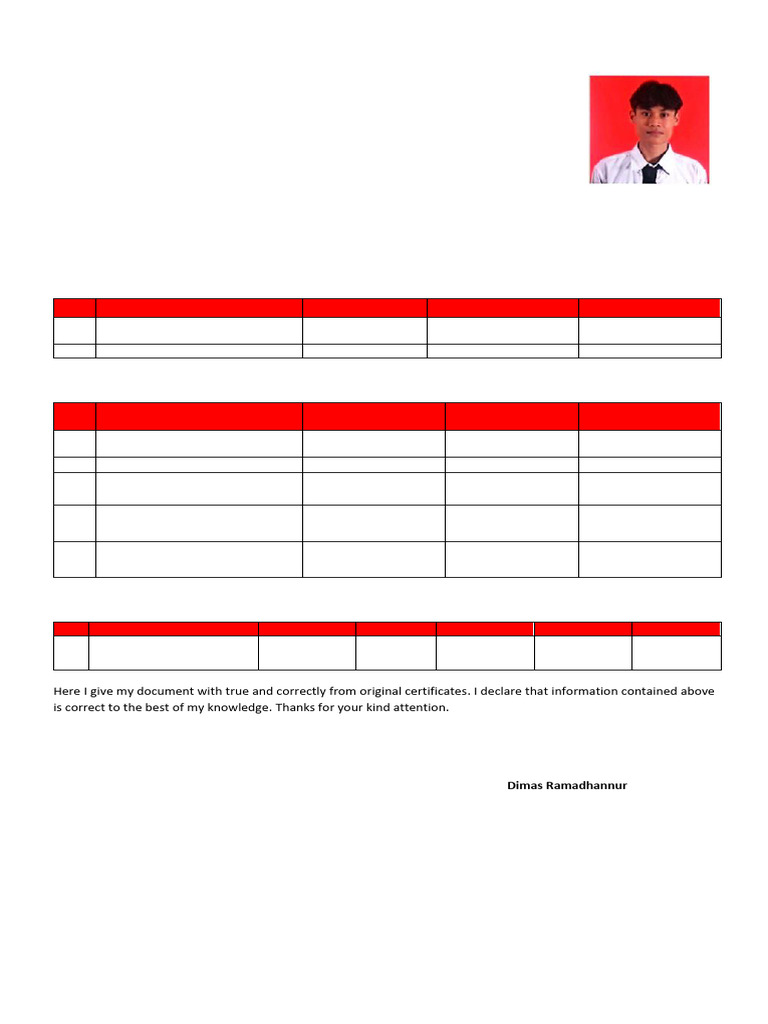 Curriculum Vitae (Cv) | PDF | Ships | Merchant Navy