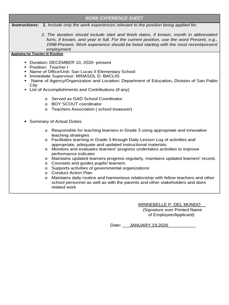 Del Mundo Work Experience Sheet | PDF