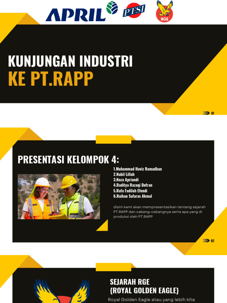 Sejarah dan Produksi PT RAPP | PDF