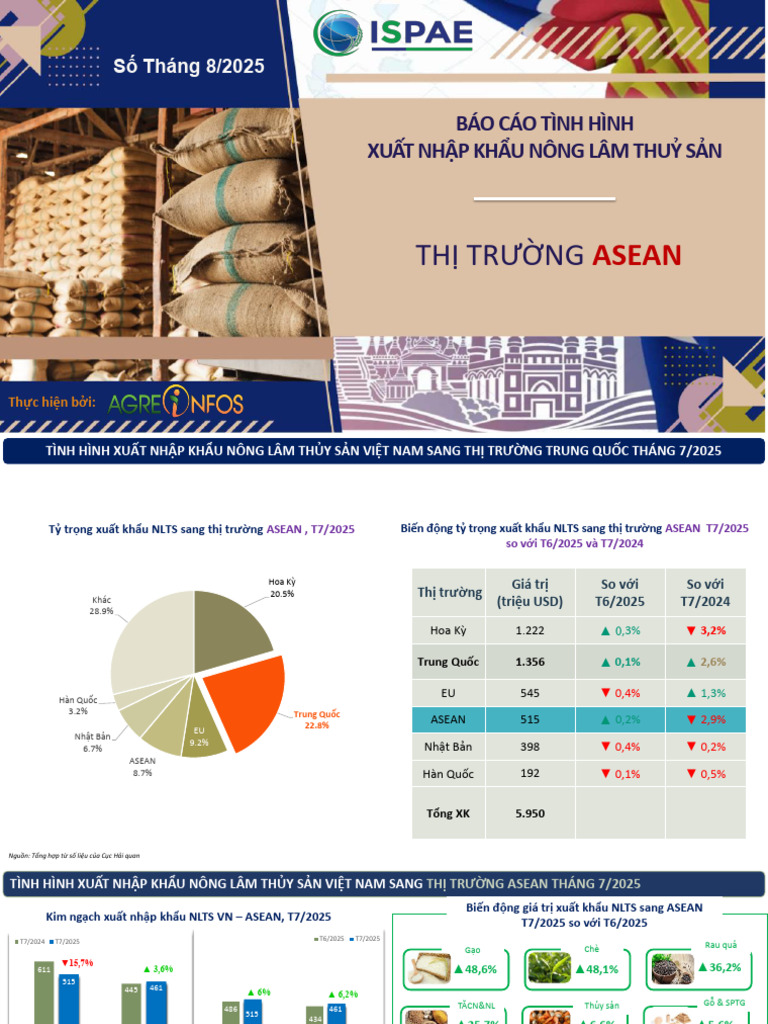 2025_8_XK NLTS_ASEAN(1) | PDF