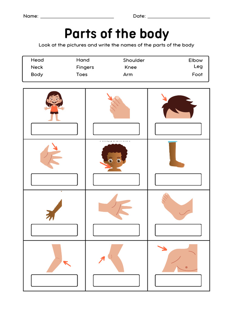 9.YoungLearners MyLifeTogether BodyAndMind BodyPartsRevision | PDF