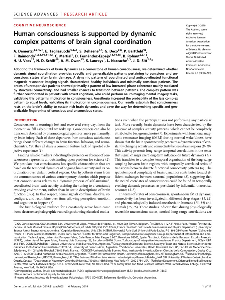 Brain Dynamics and Consciousness Patterns | PDF | Consciousness | Brain