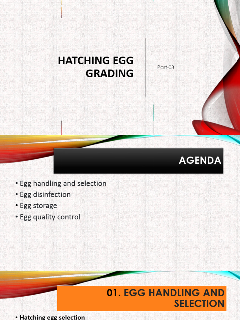 Hatching Egg Grading 1665757476 | PDF | Egg | Disinfectant