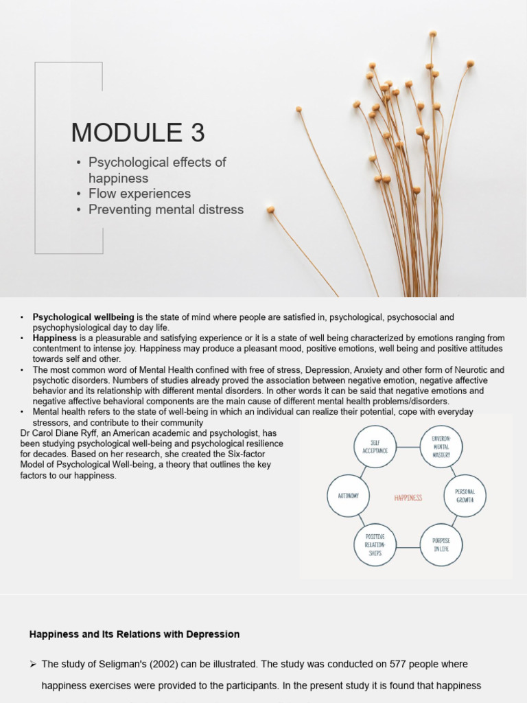Understanding Happiness and Well-being | PDF | Flow (Psychology ...