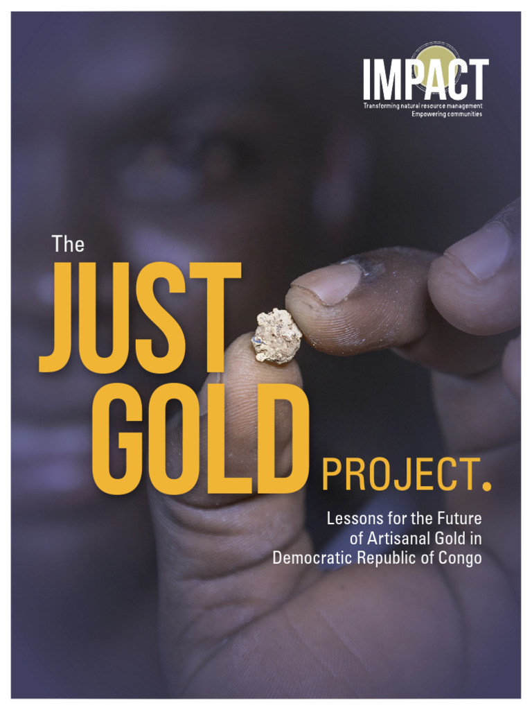 IMPACT_Just-Gold-Lessons_March-2021_EN-web (1) | PDF | Mining ...