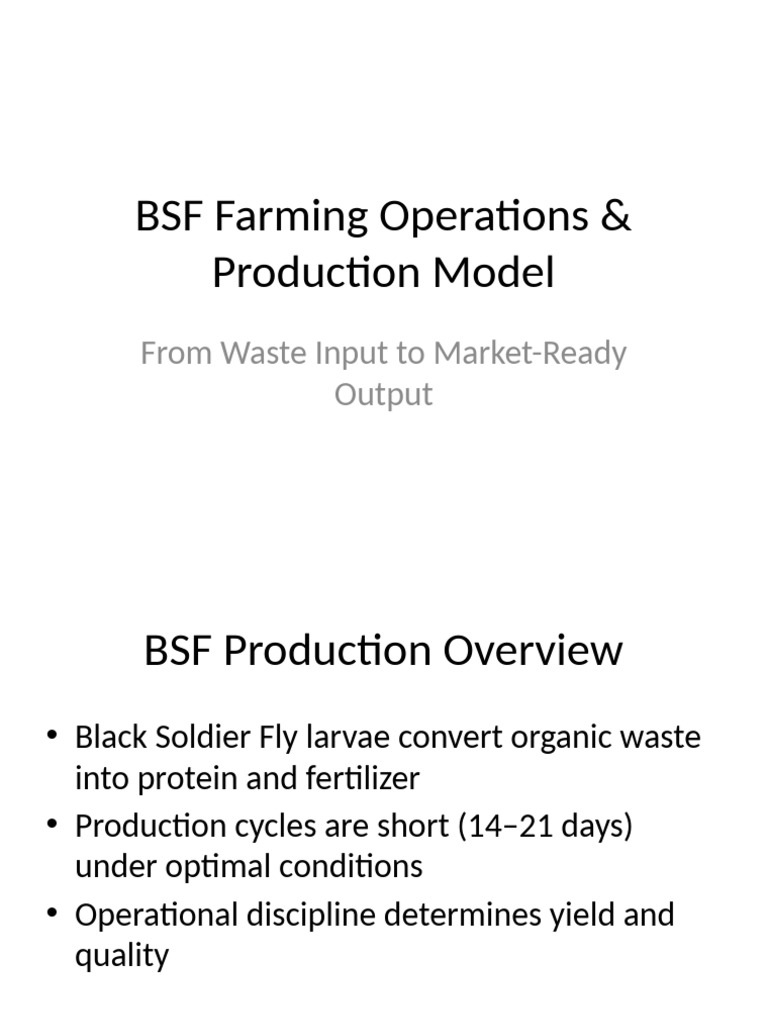 BSF Farming Operations Model | PDF