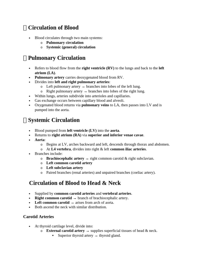 ? Circulation of Blood | PDF | Circulatory System | Aorta