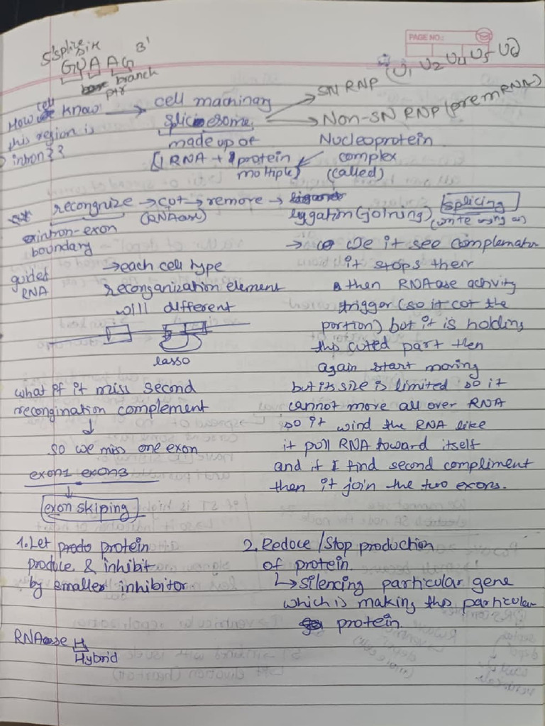 Drug Design | PDF | Natural Products | Rna