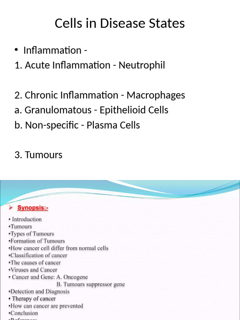 Cells Involved in Inflammation and Tumors | PDF