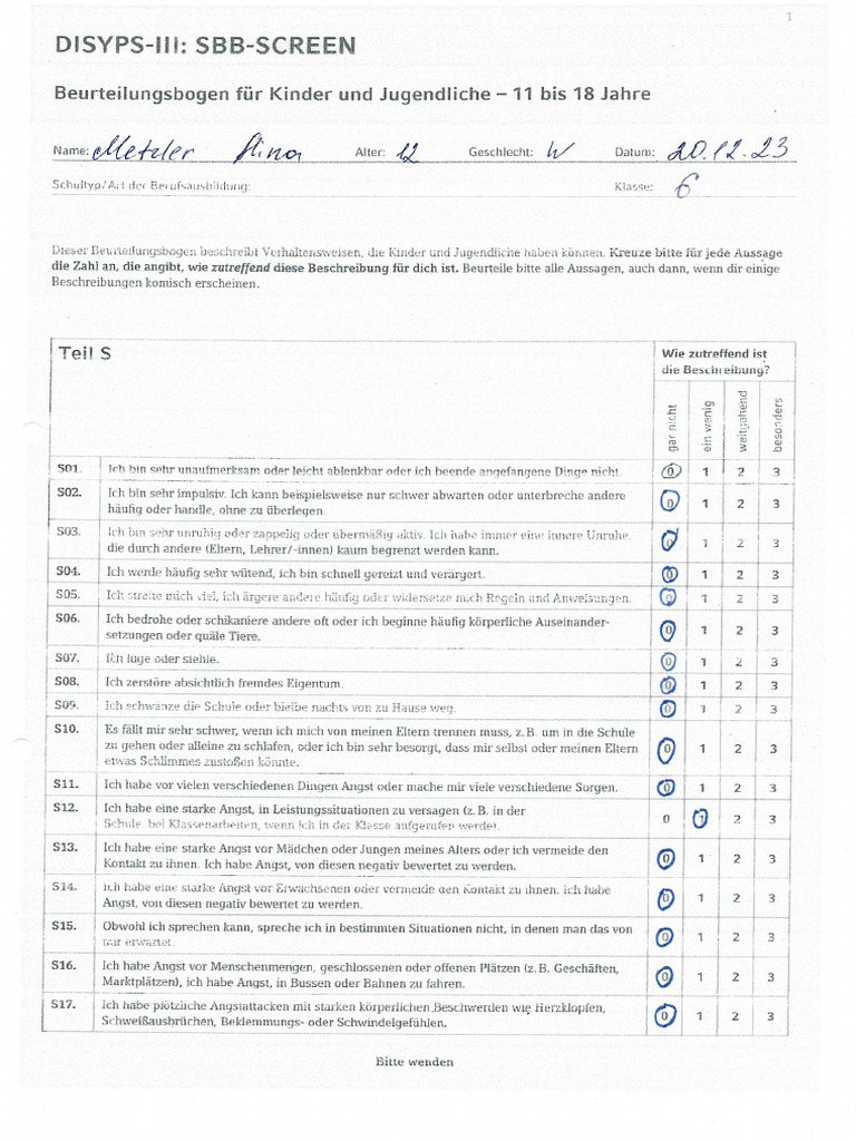Test Alina | PDF