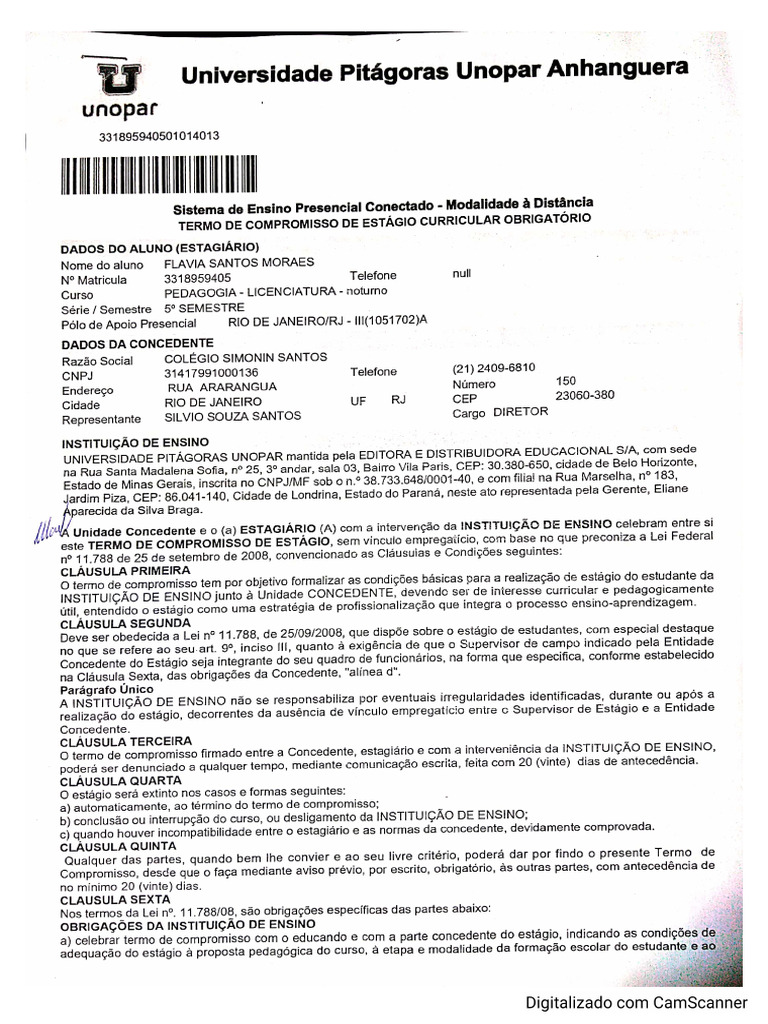 Termo de Compromisso PDF | PDF